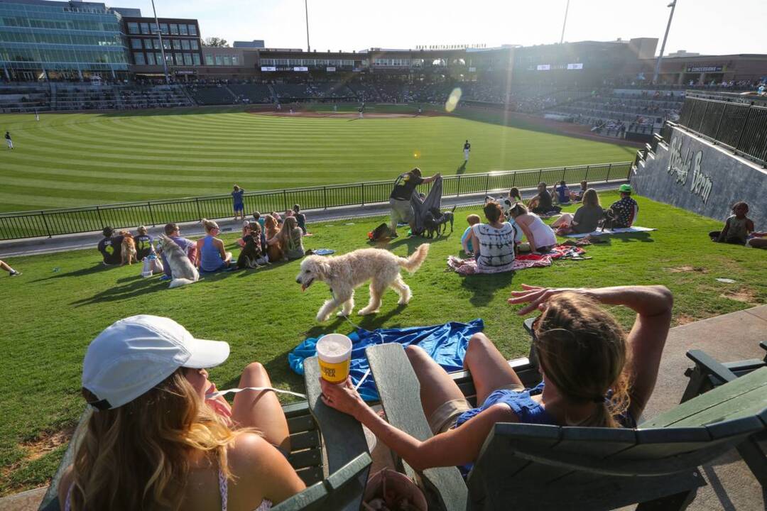 Wag-Along Wednesday at Columbia Fireflies baseball brings out four ...