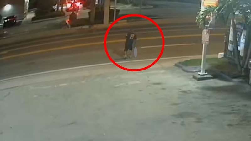 Police seek tips in Miami hit-and-run (Video) | Miami Herald