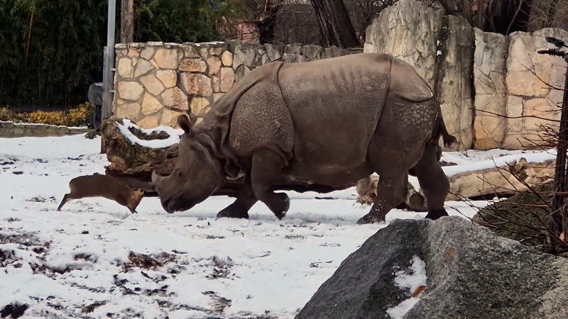 Trending Now Weather Videos | AccuWeather