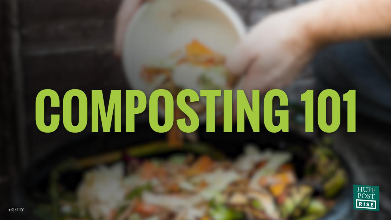 How To Compost, And 5 Common Mistakes People Make | HuffPost UK Life