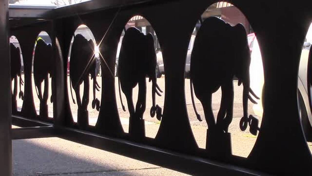 Why did Melvin Brewing come to Bellingham ? | Fresno Bee