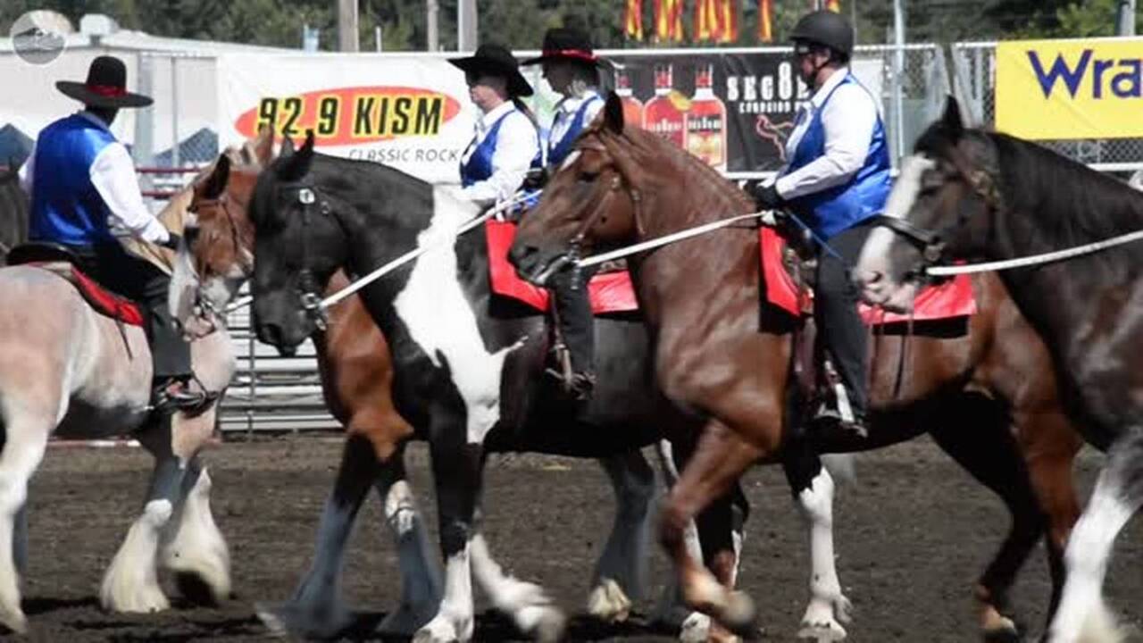 Horse show highlights at the Lynden fair | Bellingham Herald