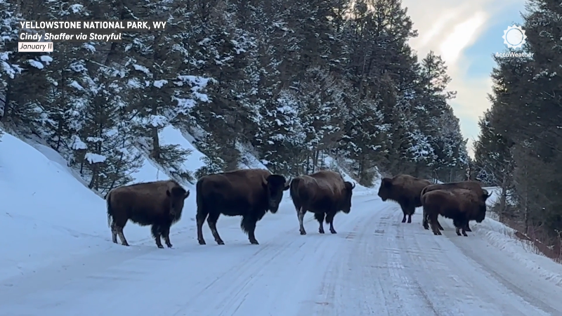 Trending Now Weather Videos | AccuWeather