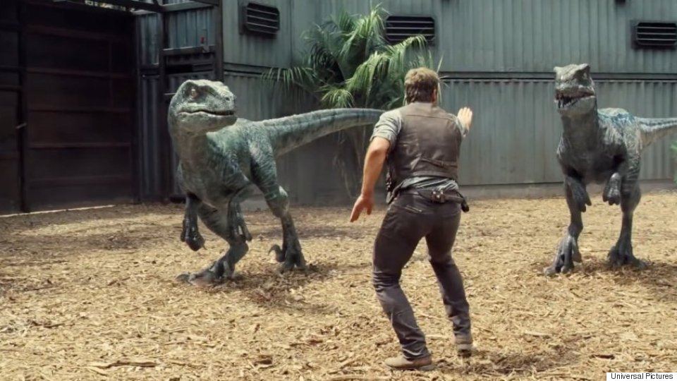 Chris Pratt 'Devastated' About Sudden Death Of 'Jurassic World' Stunt ...