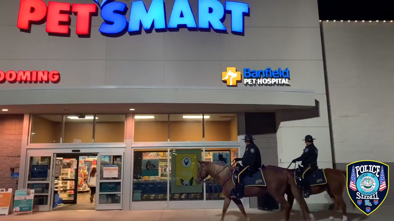 Video: Louisiana police horse takes a shopping trip inside PetSmart ...