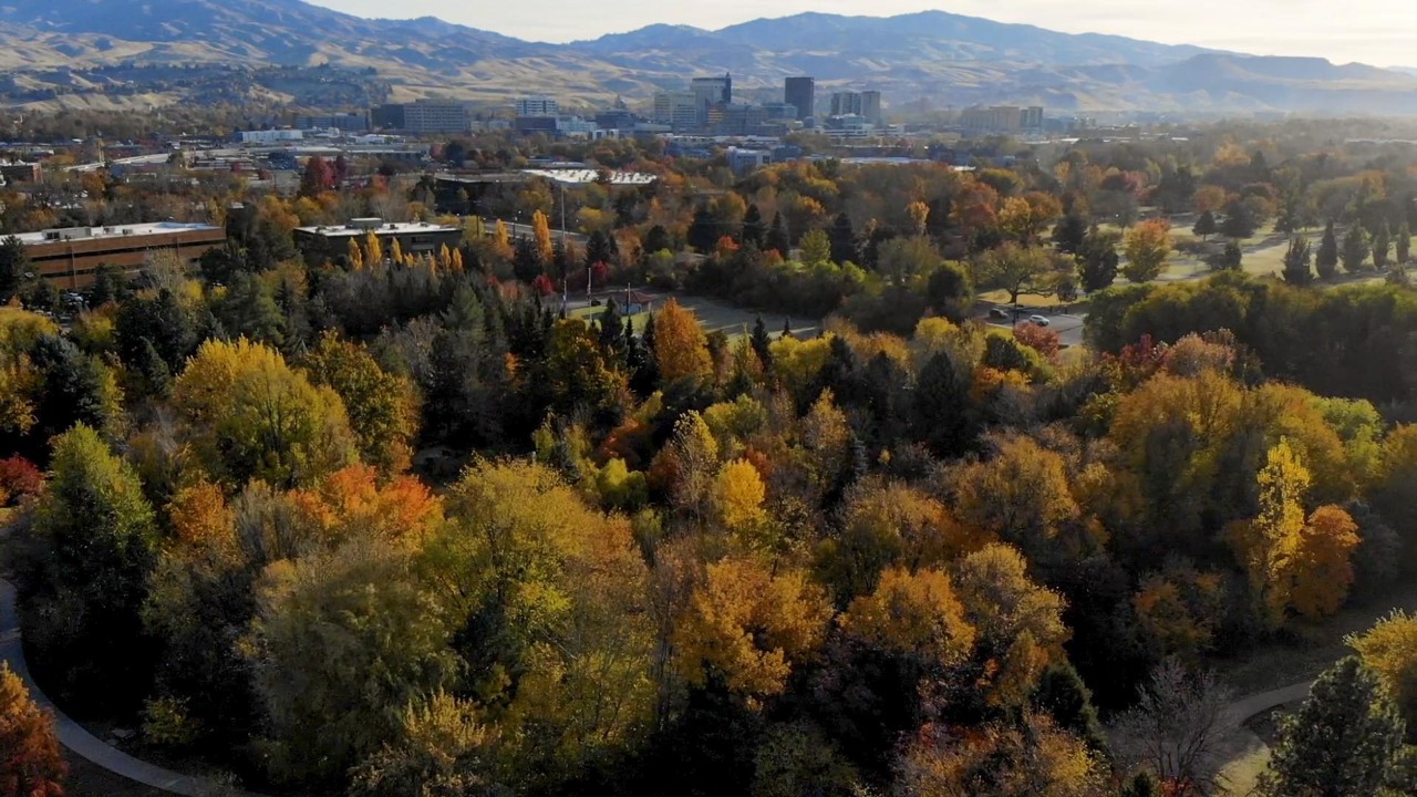 Boise ID tree canopy favors wealthy neighborhoods study says | Idaho ...