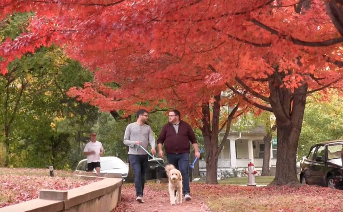See Kansas' fall colors from the air | Sacramento Bee