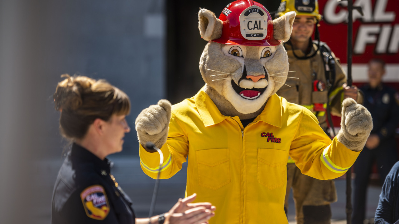 Meet Captain Cal, Cal Fire's new mascot | Sacramento Bee