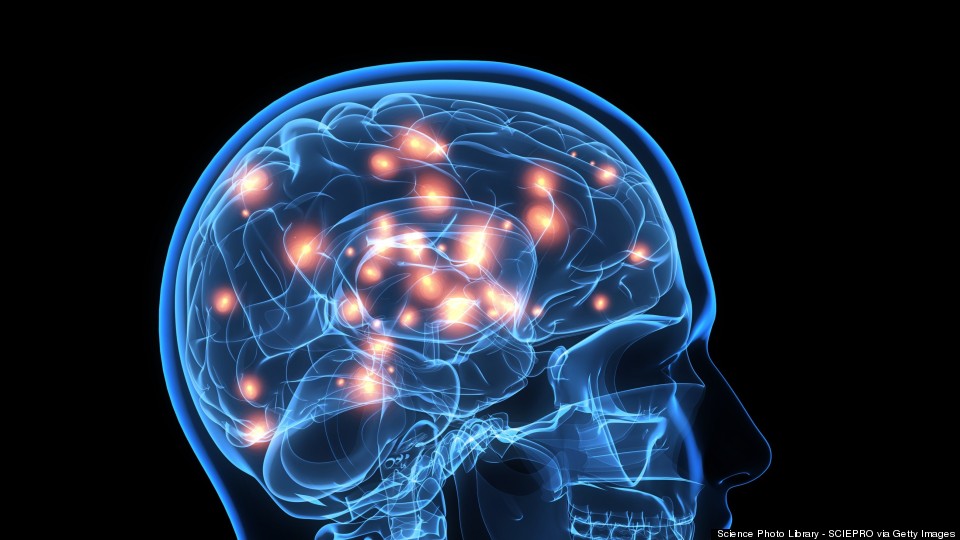Why You Can Teach An Old Brain New Tricks | HuffPost Videos
