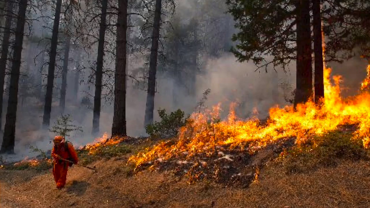 California to shut 8 prison inmate firefighting camps | Sacramento Bee