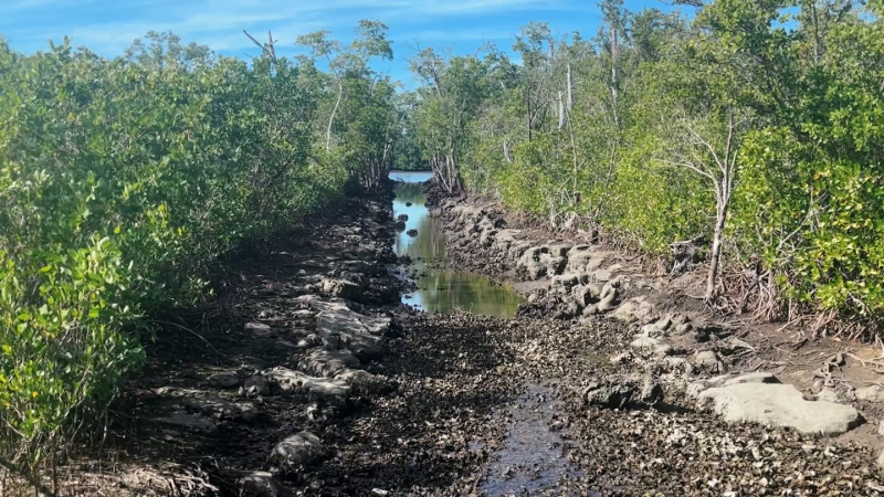 What Florida's extreme drought means for the upcoming hurricane season ...