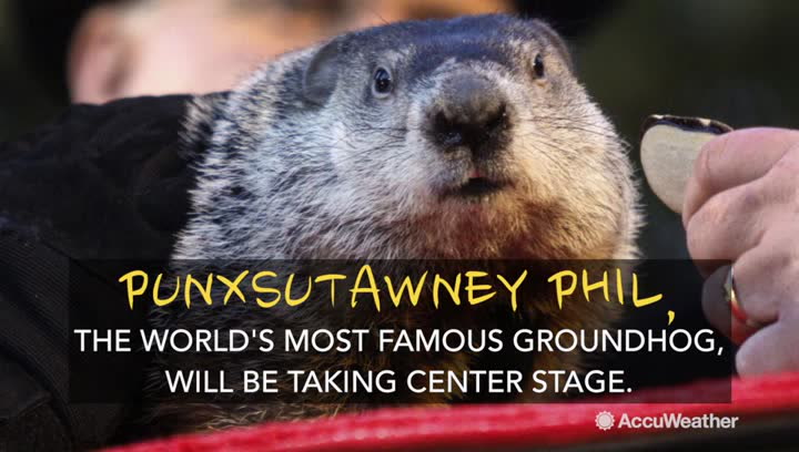 Trending Now Weather Videos | AccuWeather