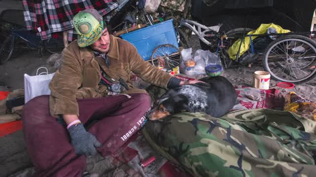 Pierce County 2020 homeless count understates the problem | Tacoma News ...