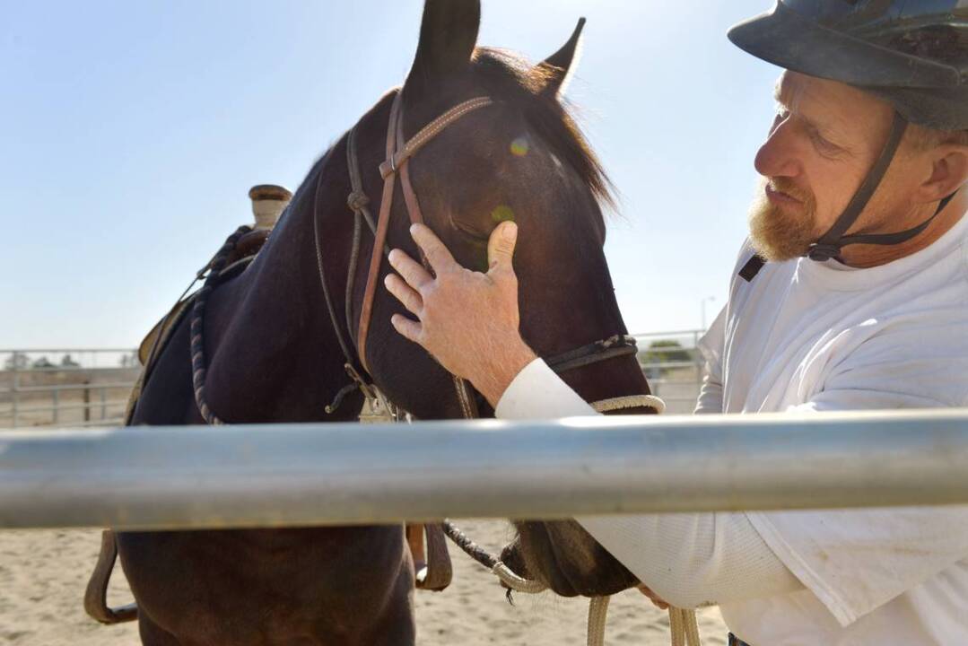 Inmate trained mustang to join Sac PD Mounted Patrol | Sacramento Bee
