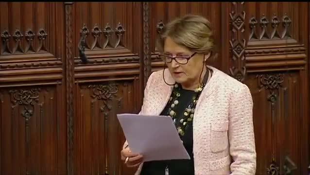 Baroness Jenkin Drops The C-Bomb In House Of Lords To Illustrate Abuse ...