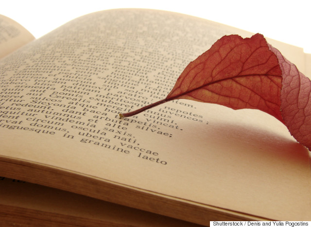 Teen's ‘Worst Day Ever' Poem Goes Viral | HuffPost Videos
