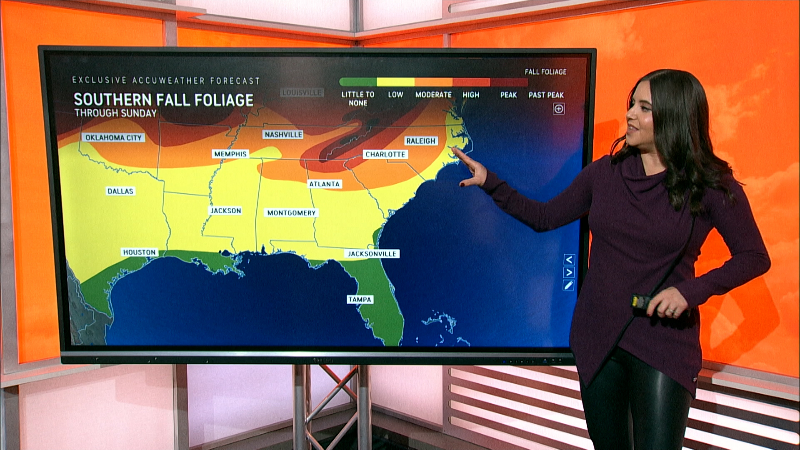 Loretta, WI Winter Weather Forecast | AccuWeather