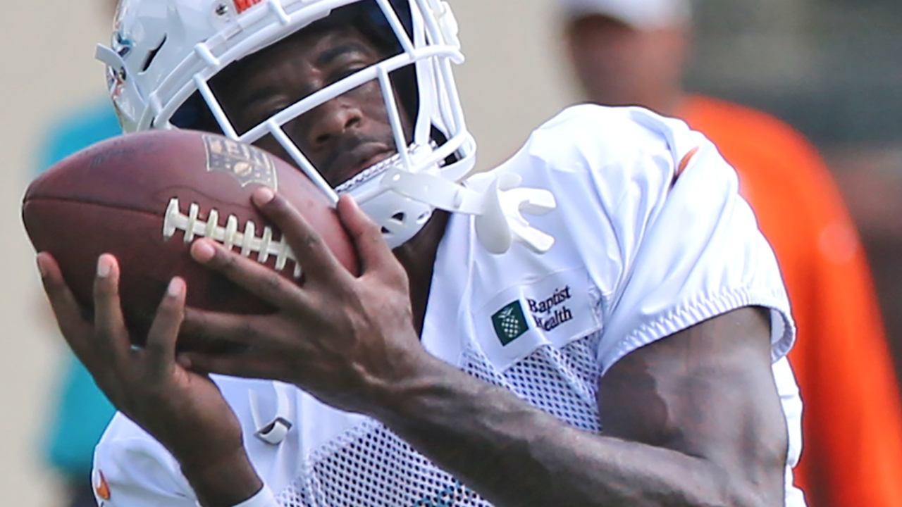 Dolphins WR Parker likes the new QB named Ryan also | Miami Herald