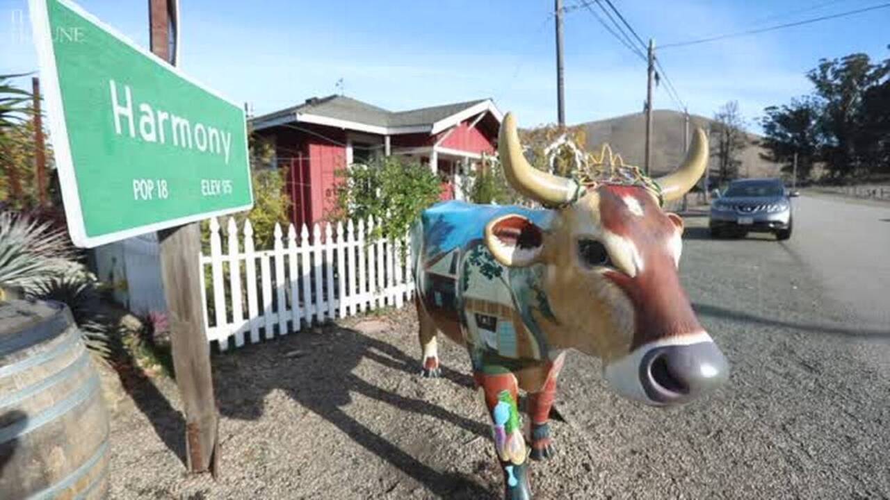 Highway 1 | Take a tour of the tiny town of Harmony, California | Macon ...