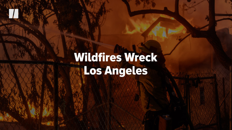 Steve Guttenberg Helps First Responders Amid LA Wildfires | HuffPost ...