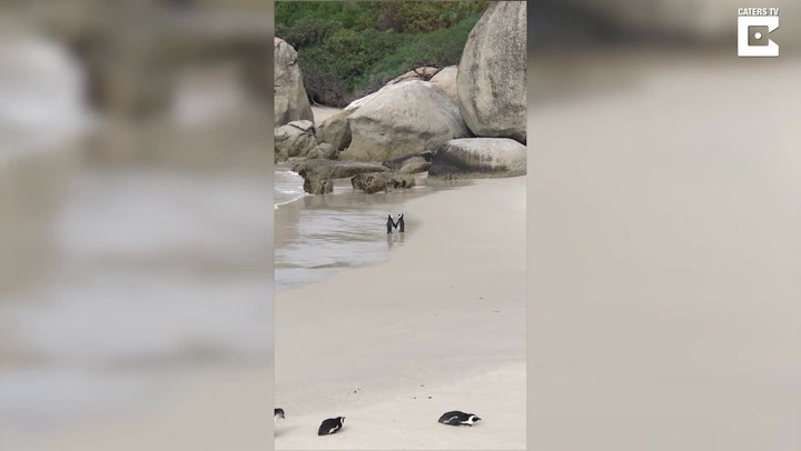 Trending Now Weather Videos | AccuWeather