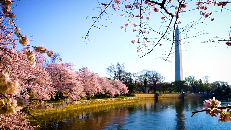 United States National Winter Weather Forecast | AccuWeather