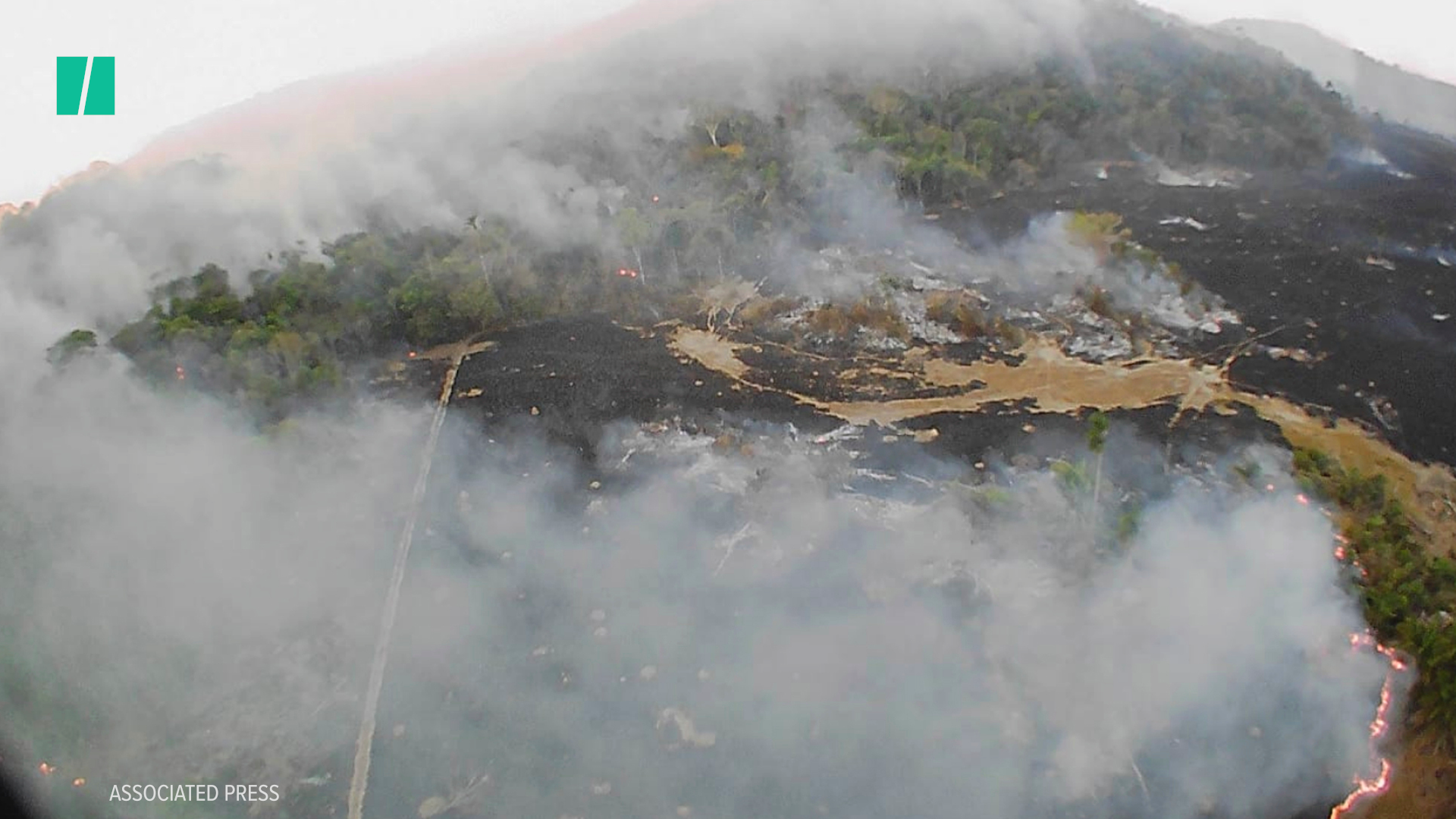 The Amazon Rainforest Is On Fire – Here Are 6 Ways You Can Help ...