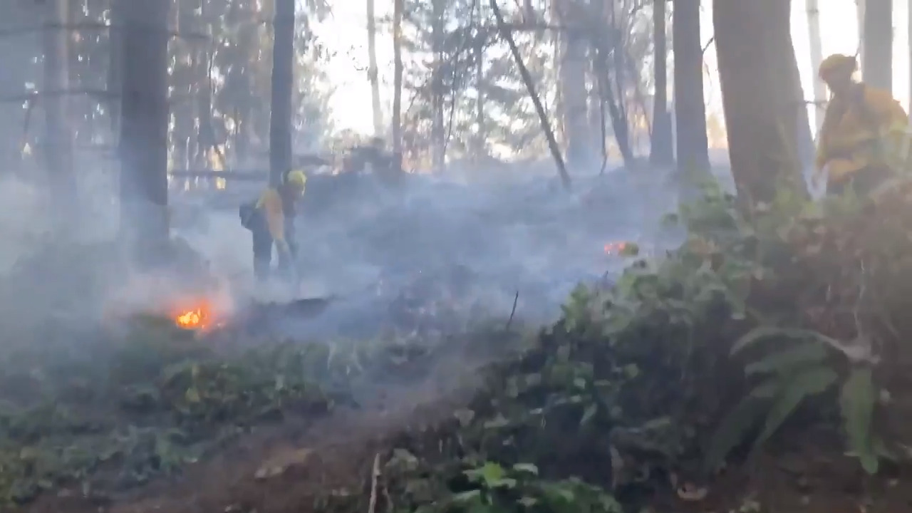 Local, fire crews still working on Bonney Lake brush fire | Tacoma News ...