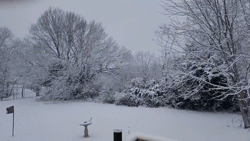 United States National Winter Weather Forecast | AccuWeather