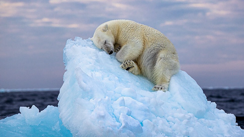 United States National Winter Weather Forecast | AccuWeather