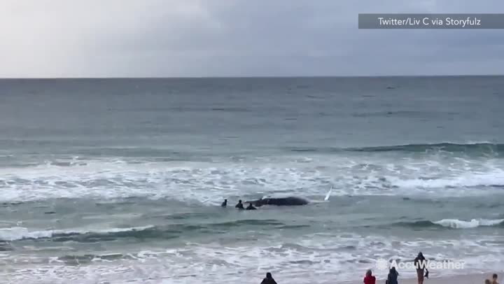 Trending Now Weather Videos | AccuWeather