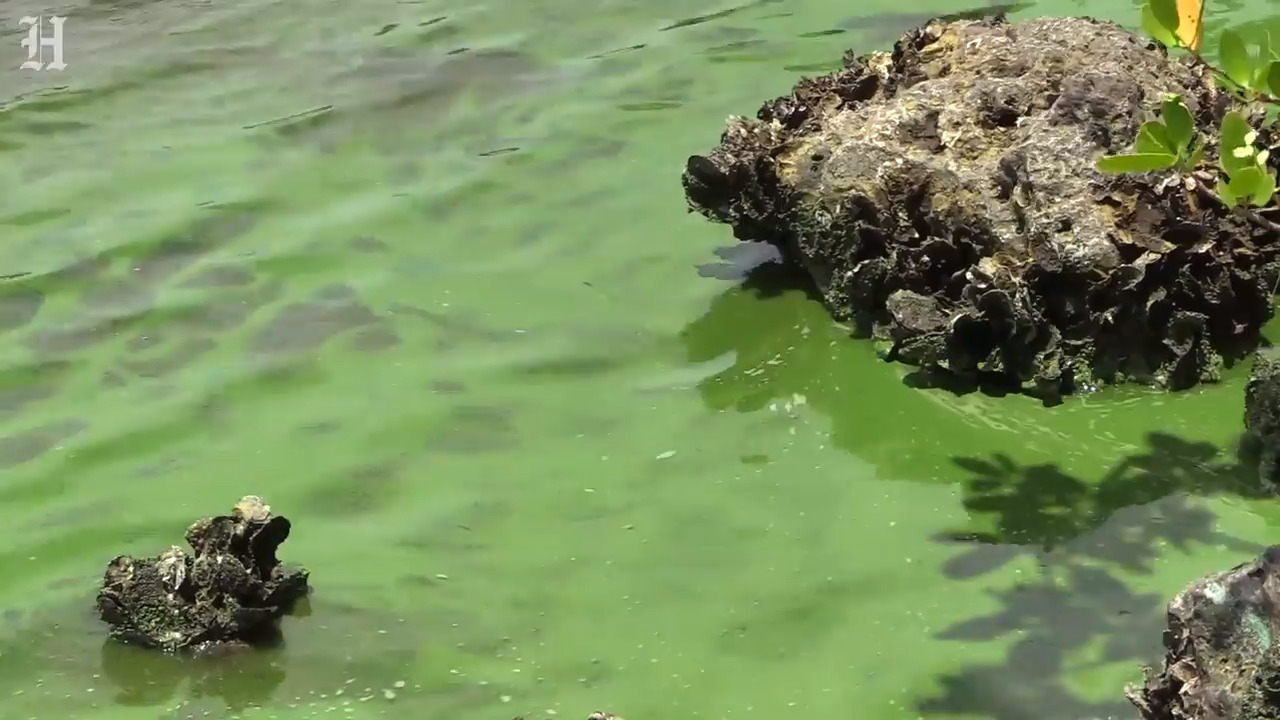 Coasts brace for more dirty Lake O water, despite reprieve | Miami Herald