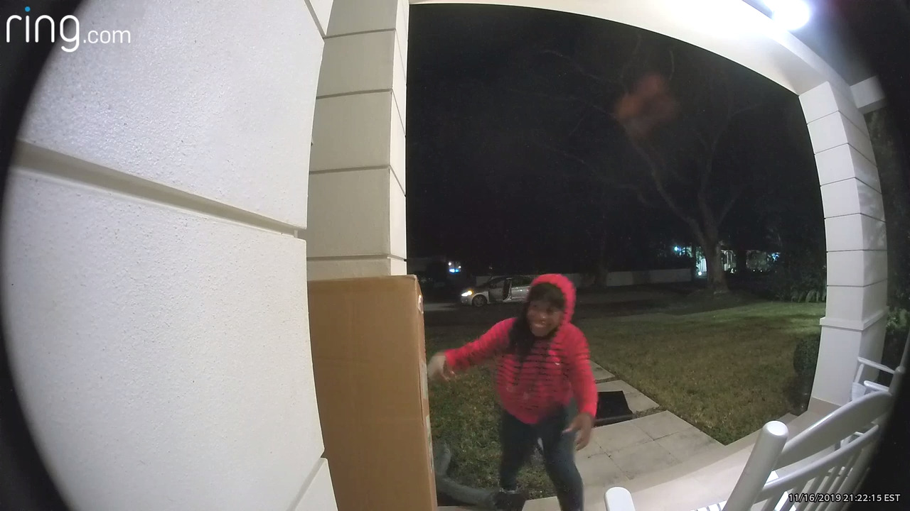 Ring camera captures images of package thieves | Miami Herald
