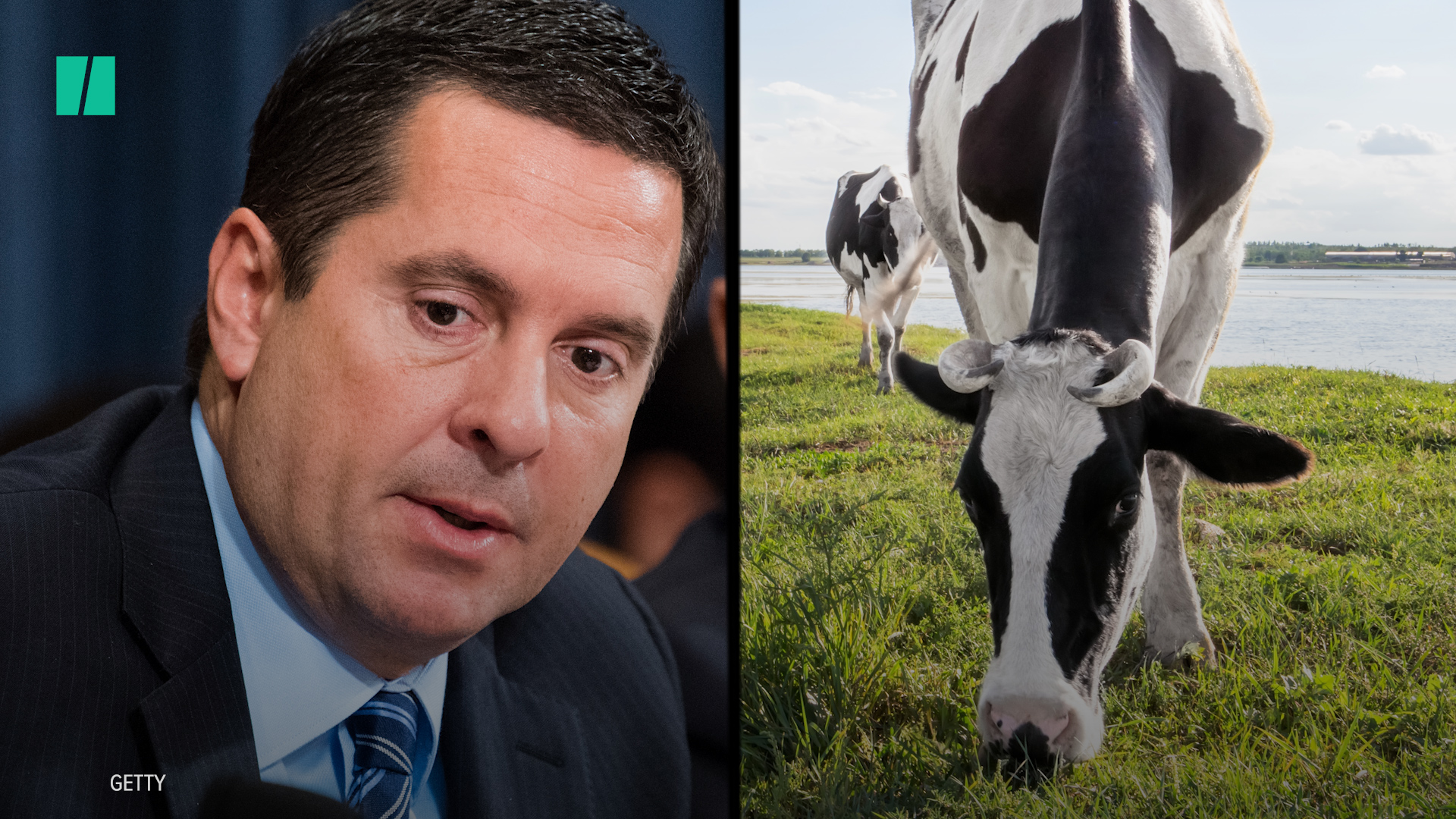 Devin Nunes' Cow Twitter Account Gets More Followers Than Nunes ...
