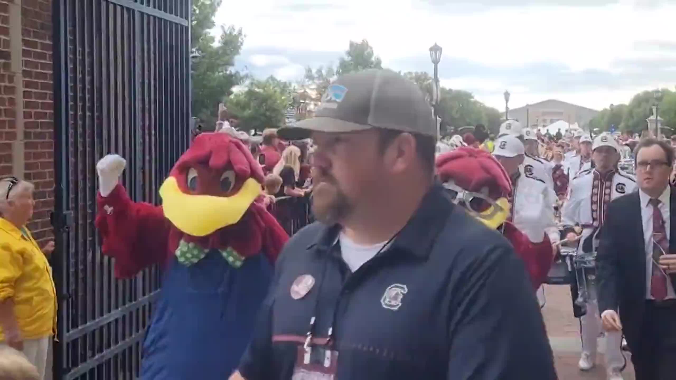 Gamecock Walk: South Carolina football arrives for game vs. Mississippi ...