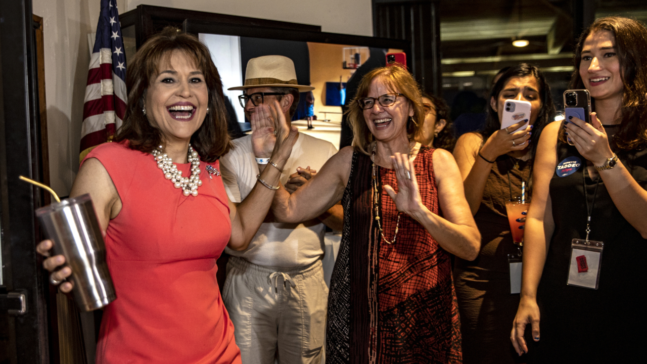 Annette Taddeo disputará escaño a María Elvira Salazar | El Nuevo Herald