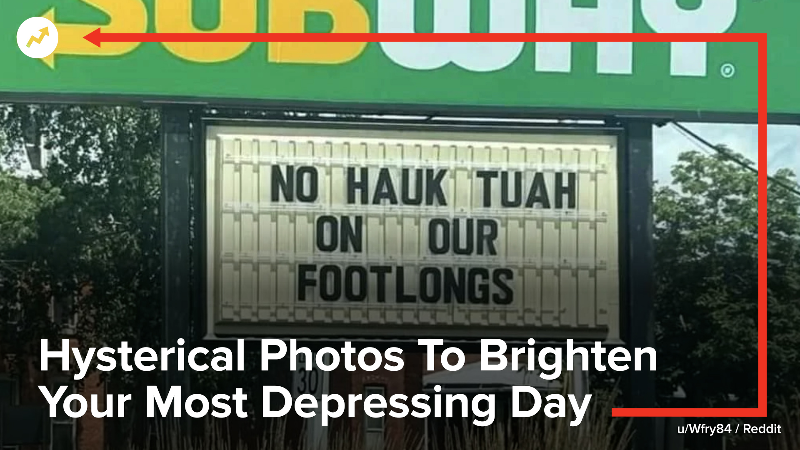 Hysterical Photos To Brighten Your Most Depressing Day | HuffPost Videos