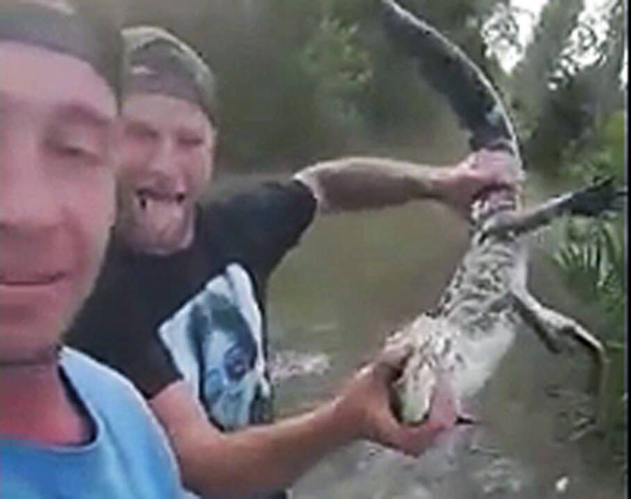 'And that is how you catch a gator by hand': Video lands Florida men in ...