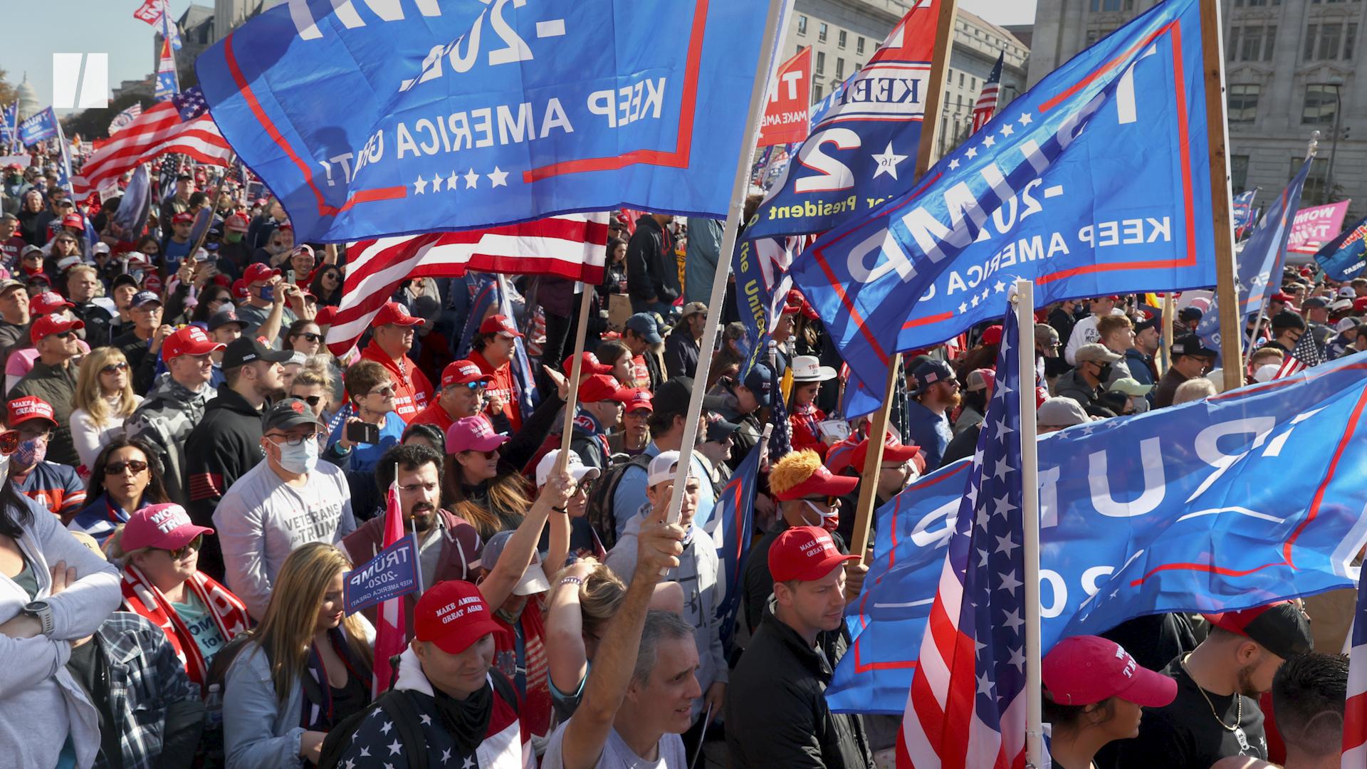 Kayleigh McEnany Breaks White House Whopper Record With MAGA Crowd ...