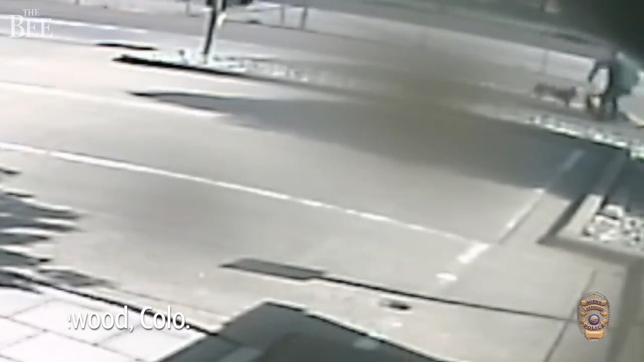 Dog attacks elderly woman in sidewalk robbery, police say | Modesto Bee