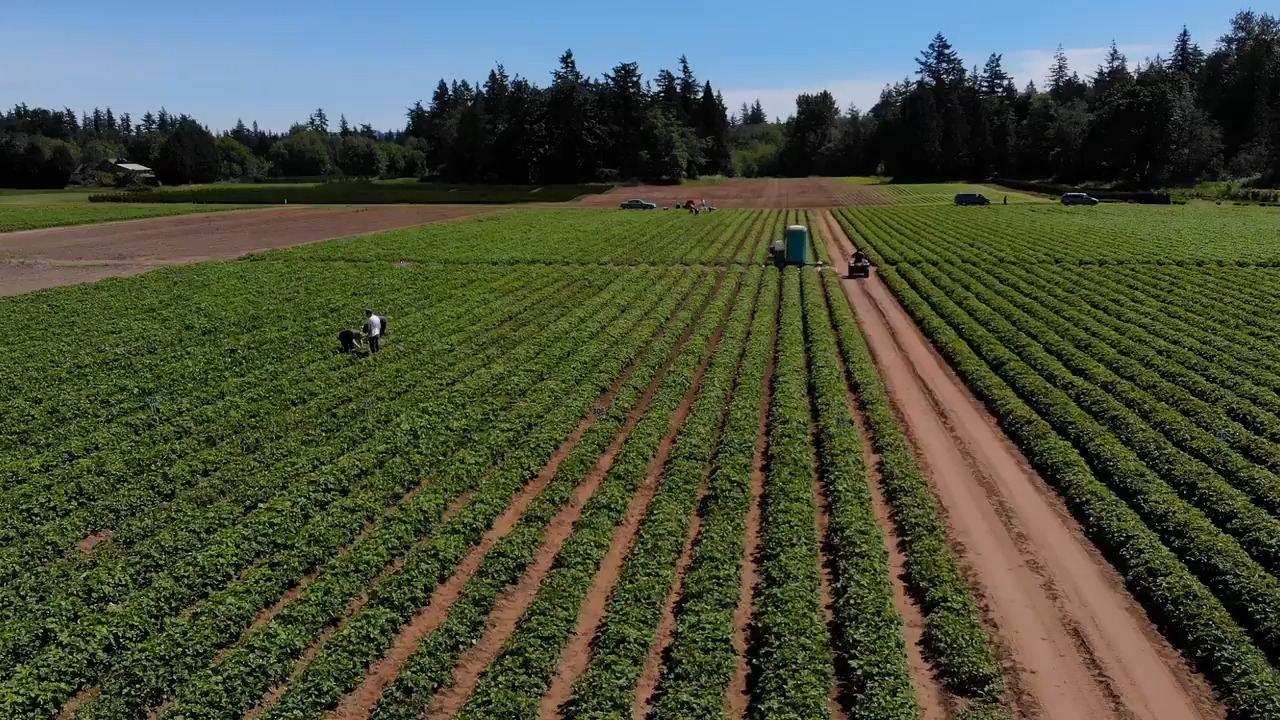 Interactive charts show changes in Whatcom farming community ...