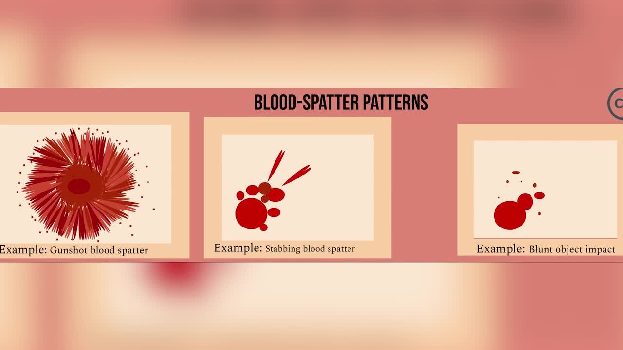 How bloodstain analysis help police investigate crimes | The State