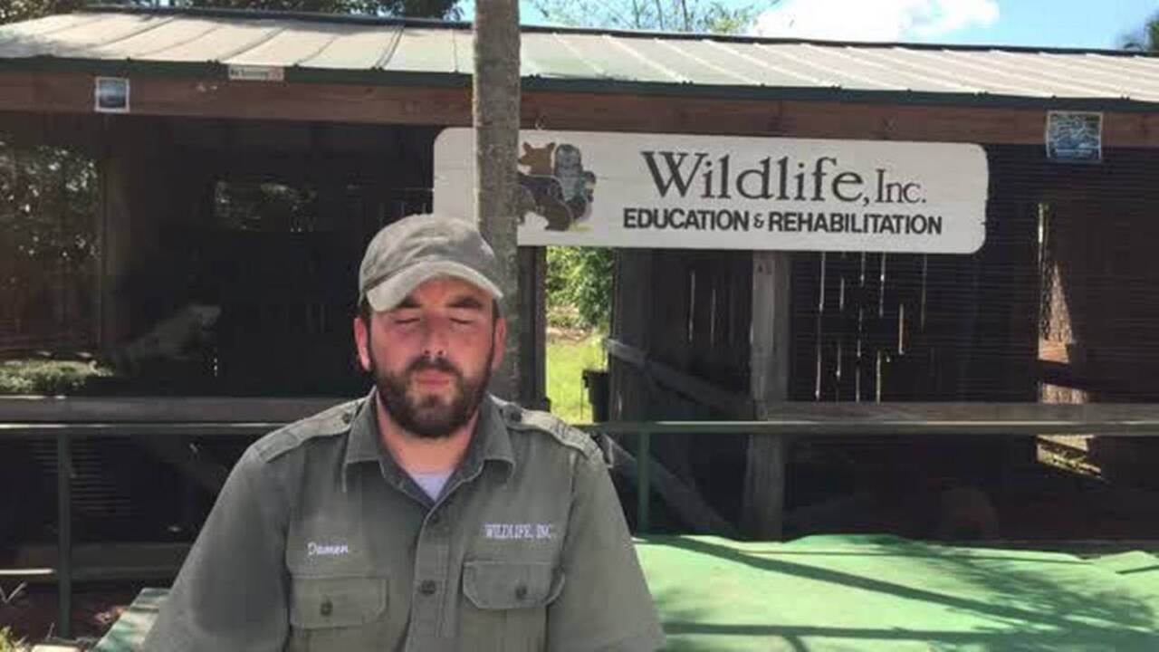 Wildlife Inc. looks to expand into larger facility | Bradenton Herald