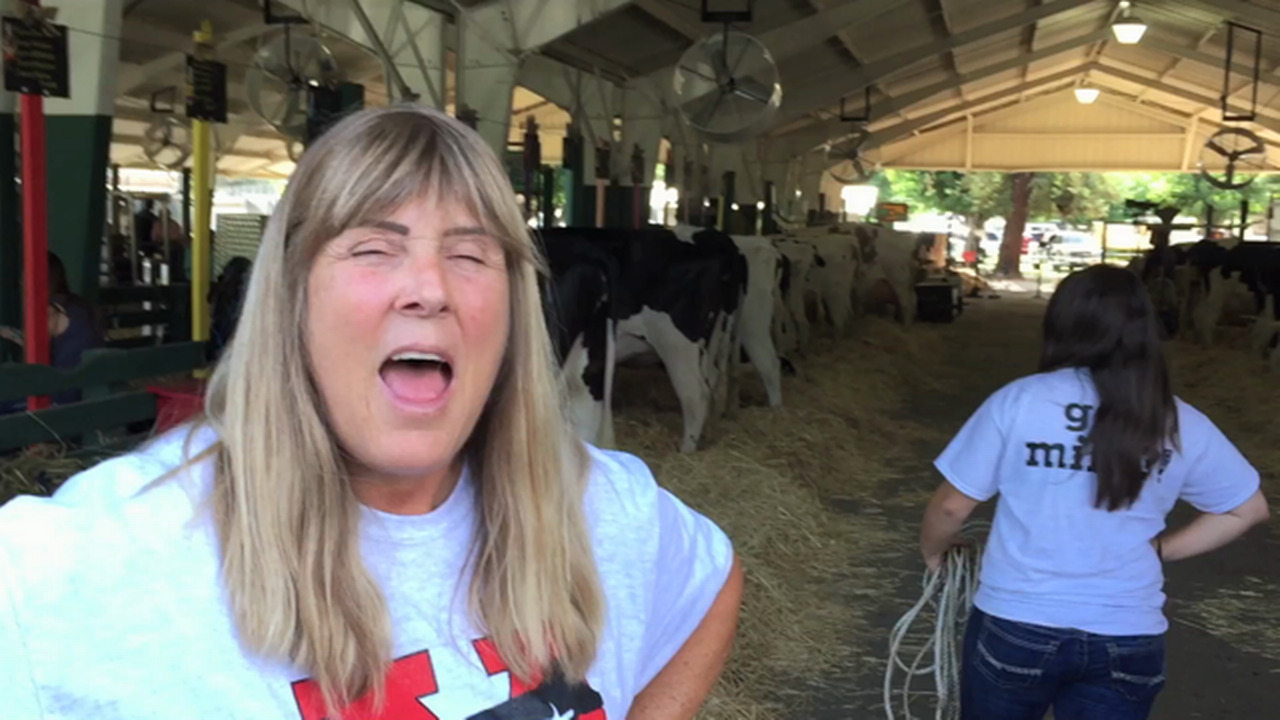 Fair debuts livestock upgrades funded by Associated Feed & Supply ...