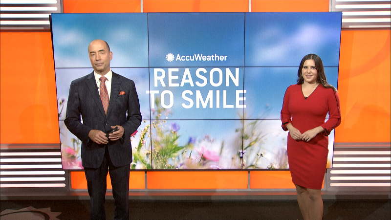 Trending Now Weather Videos | AccuWeather