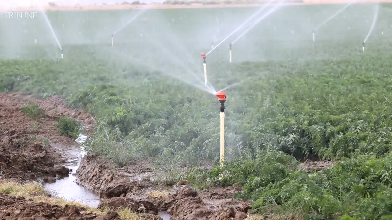 Falling water table causes anxiety for Cuyama farmers | San Luis Obispo ...