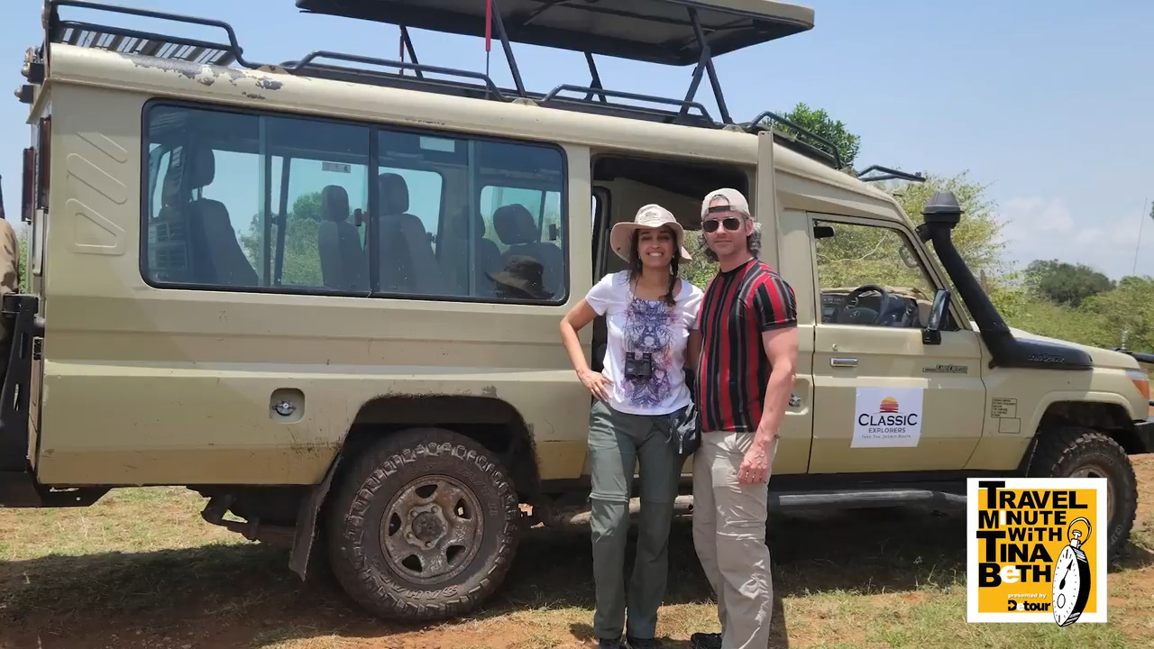 What you need to know about booking a safari | Miami Herald