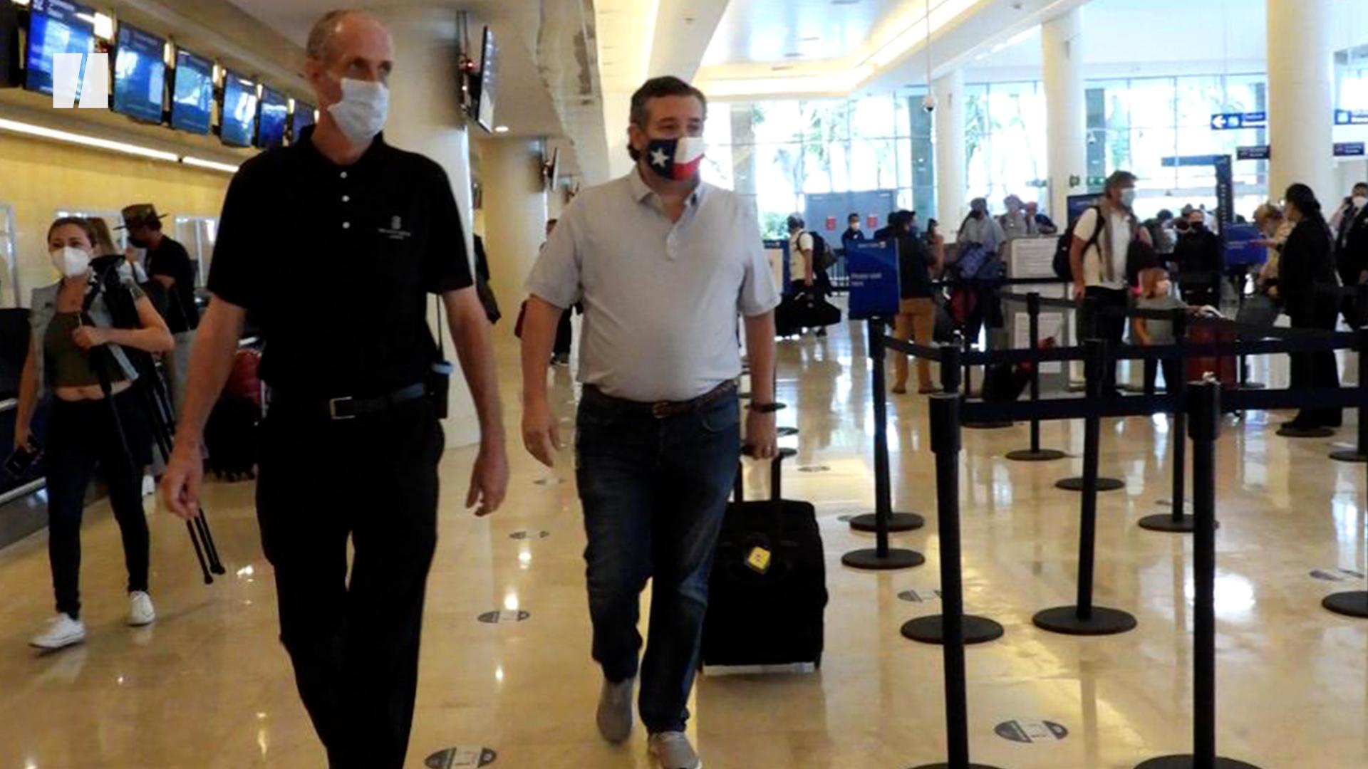 People Want Justice For Snowflake, Ted Cruz's Dog Who Did Not Go To ...