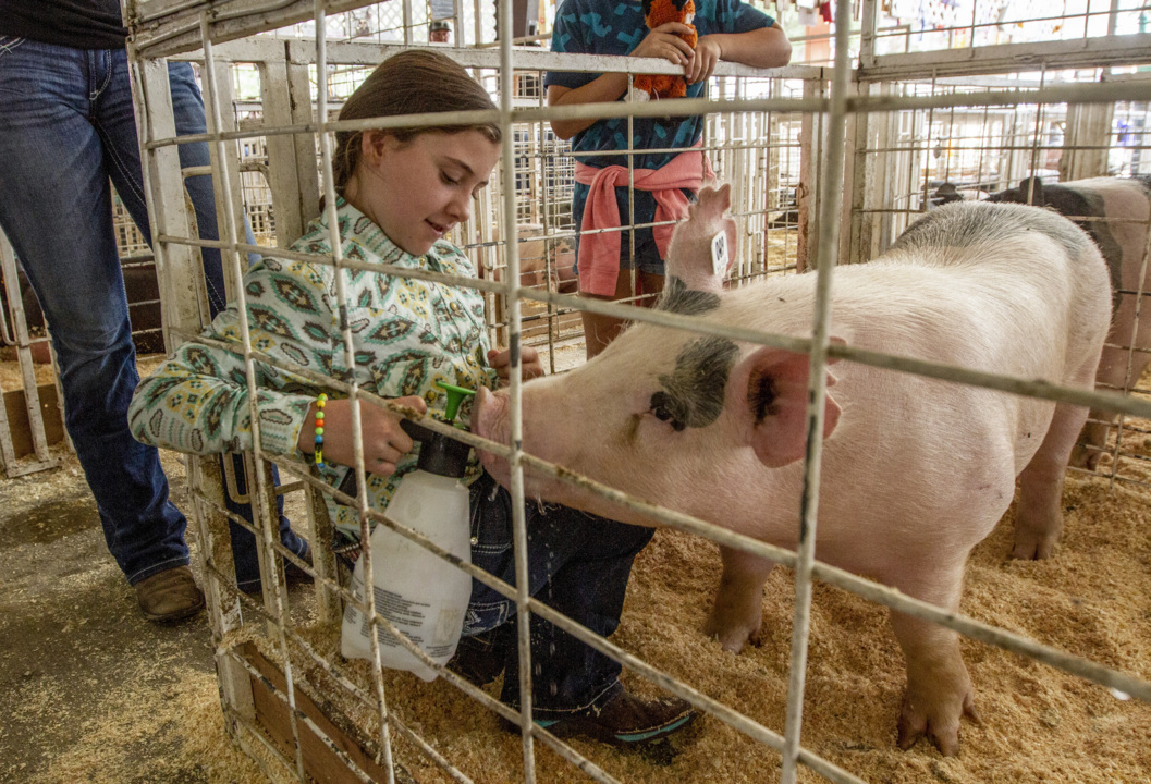 Colorful scenes from this year's five-day Benton Franklin Fair & Rodeo ...