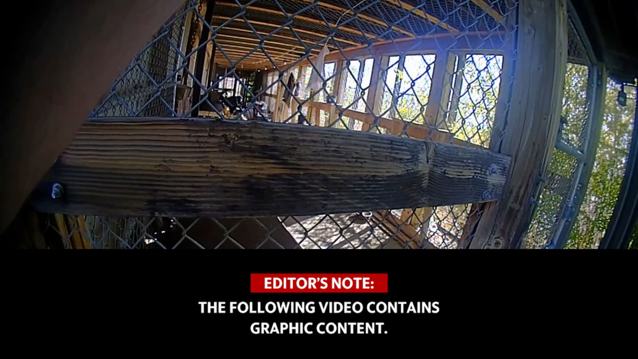 Video of Pendleton, Ore., chimpanzee shooting released | Tri-City Herald